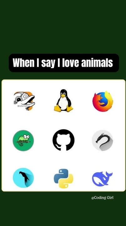 Yeah Coder Bro 💀 Coding Ai Alexa Trend Codingwebsite Programming Code Foryou Hacker