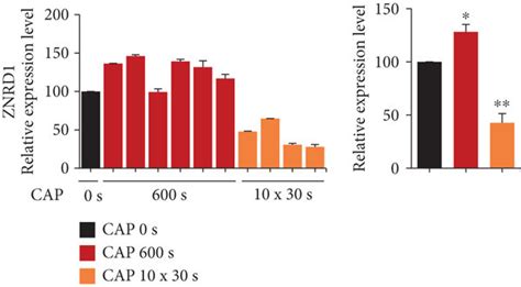 Induction of opposite expression of ZNRD1 and ZNRD1-AS1 under different ...