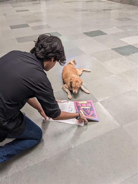 Sex Ed Insight Iitb Newsletter Behance