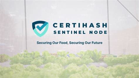bsv blockchain on linkedin eli5 how certihash and sentinel node can help with food security