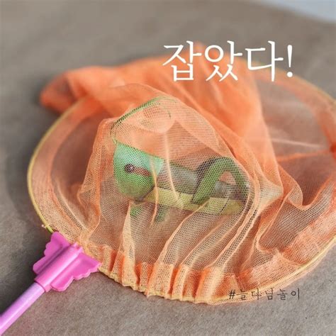 엄마표 가을놀이🌾 휴지심으로 메뚜기 만들기재활용품미술놀이 네이버 블로그