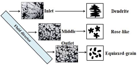 Microstructural Evolution Of A356 Aluminum Alloy During The Secondary Download Scientific