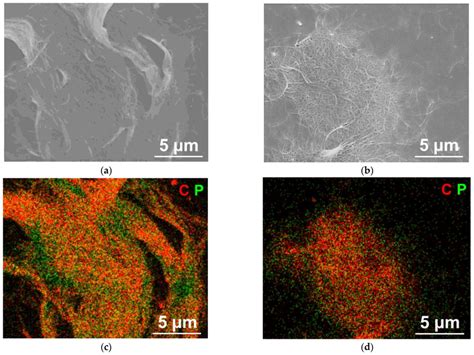 a b sem images and c d corresponding eds combined maps of carbon