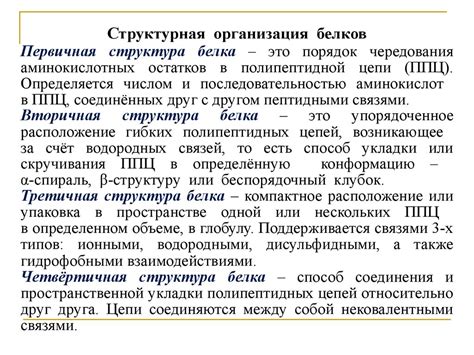 Белки. Теории строения белковой молекулы. (Тема 2) - презентация онлайн