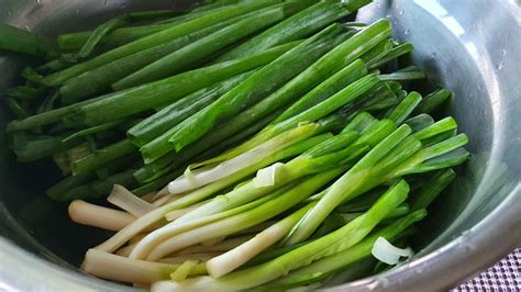 익을 수록 맛있는 대파김치 담그는 법