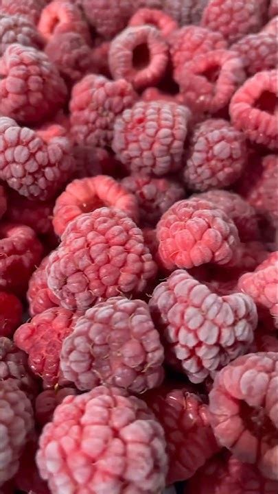 გაყინე ხილი მარტივად ️🧊და შეინახე დიდხანს იზის პარკებში💙📹 Elliescook Youtube