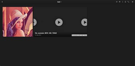 Ffprobe Binary Path Declaration Fails · Issue 223 · Lycheeorglychee · Github