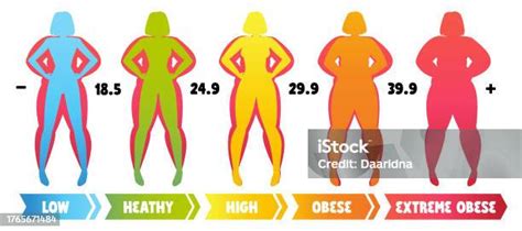 Woman Body Types Based On Bmi Index Stock Illustration Download Image