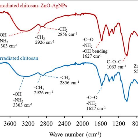 The Ftir Spectra Of γ Irradiated Chitosan And γ Irradiated