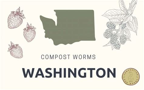 Is Your Worm Bin Too Wet How To Fix A Waterlogged Compost Bin