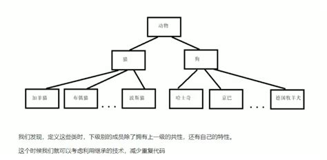C（类和对象继承 多态） Csdn博客