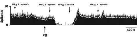 24 Example Of A Continuous Ratemeter Histogram Trace Depicting The