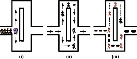 Figure 1 From Improved Antnet Routing Algorithm For Packet Switching Semantic Scholar