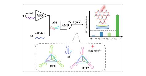 Logic Signal Amplification System For Sensitive