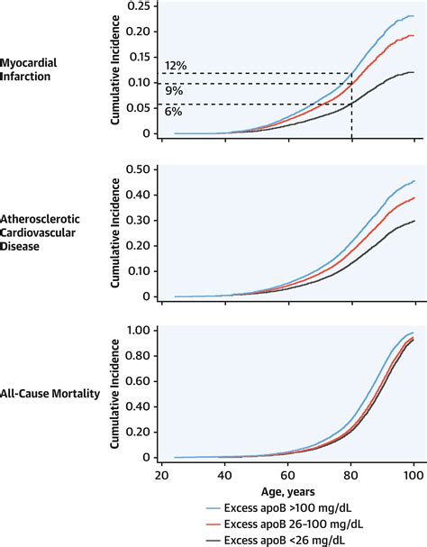 Excess Apolipoprotein B And Cardiovascular Risk In Women And Men Jacc