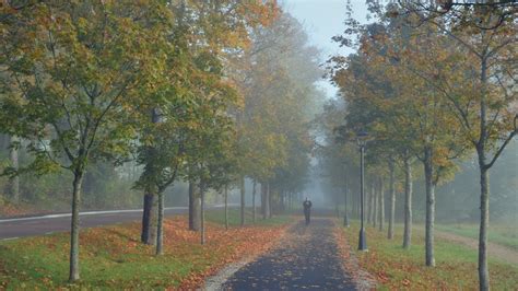 Вижте всички почивни дни през септември Новини бг