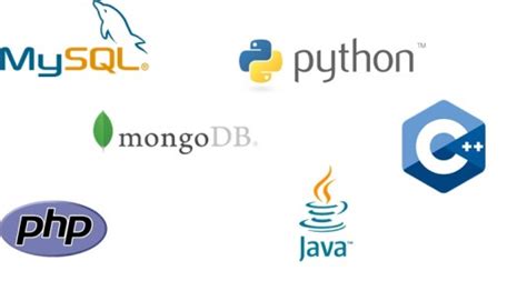 Custom Web Application Development Services India Applicane