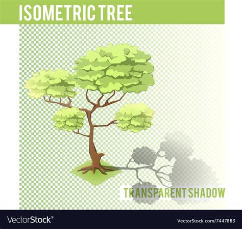 Isometric Tree Royalty Free Vector Image VectorStock