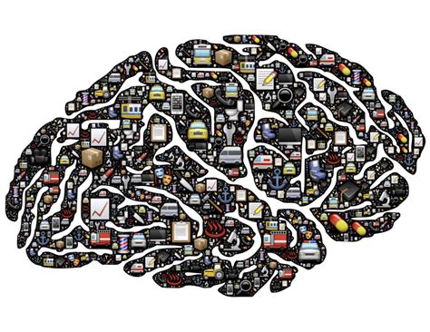 Introduction To The Humanistic Contextual And Evolutionary Perspectives Of Development