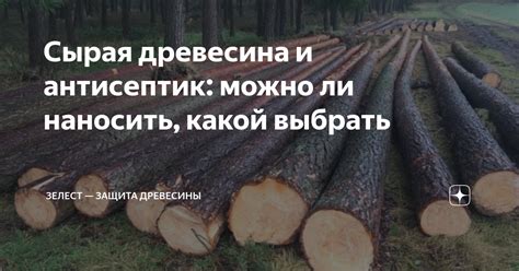 Сырая древесина и антисептик можно ли наносить какой выбрать Зелест — защита древесины Дзен