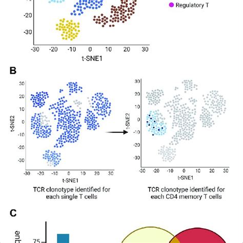 Mockup Chromium Single Cell Immune Profiling 10x Genomics To Identify