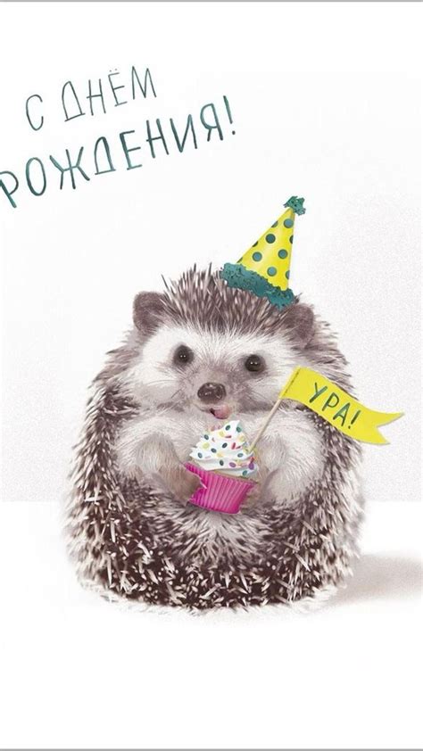 Открытка на День Рождения 🥰 С днем рождения Поздравительные открытки С днем рождения кошки