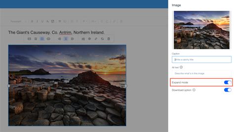 Wix Blog Enabling Or Disabling Expand Mode For Blog Images Help Center Wix Com