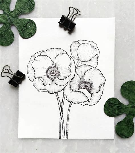 Poppies Flower Art Floral Drawing Abstract Art Painting