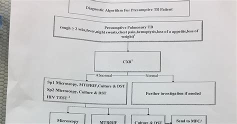 Diagnostic Algorithm For Presumptive Tb Patient