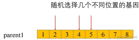 进化计算 遗传算法之史上最直观交叉算子（动画演示）第二十章 遗传算法 史上最直观交叉算子（动画演示）201 单点交叉（ 掘金
