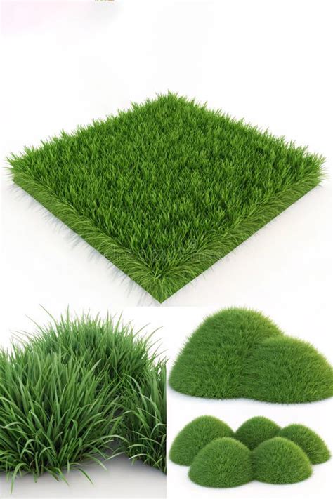 Set Of Green Grass Designs Stock Illustration Illustration Of