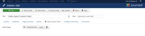 how to add custom fields in joomla articles themexpert