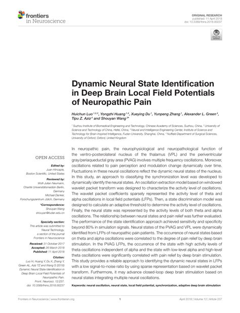 pdf dynamic neural state identification in deep brain local field