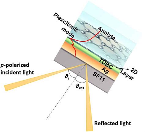 Experimental Setup Of Proposed Sensor Download Scientific Diagram