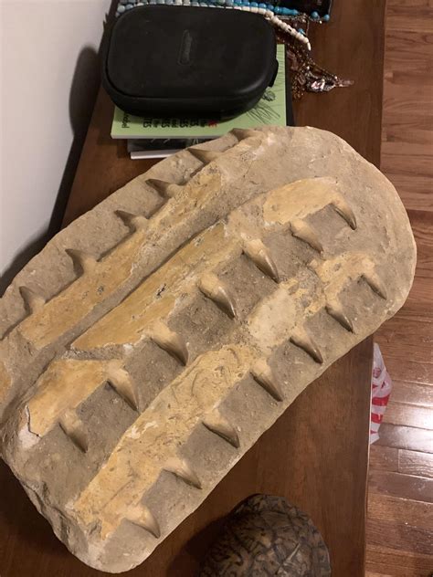 Id Request Friend Bought This Fossil At A Music Show And Swears Its Real Can We Confirm R