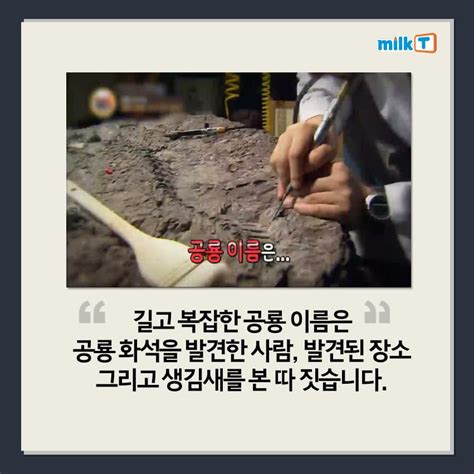 천재교과서 밀크t초등 공룡은 왜 공룡일까 🙄 공룡 이름의 비밀은 🦖🦕 공룡을 좋아하는