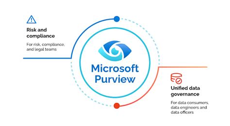 Protect Sensitive Data With Microsoft Purview By Hergra Fiverr