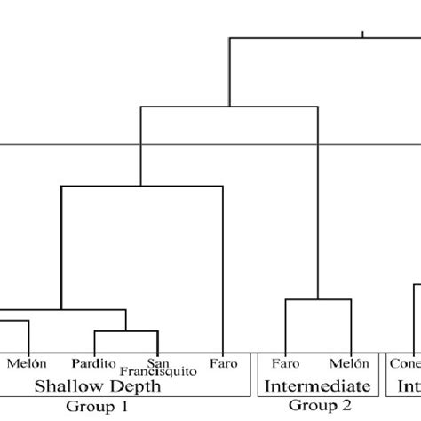 Classi Fi Cation Analysis By Locations In 2 Depths In Isla San José Download Scientific Diagram