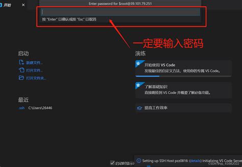 关于vscode连接远程服务器时无法输入密码的问题 vscode连接远程服务器输入不了密码 csdn博客