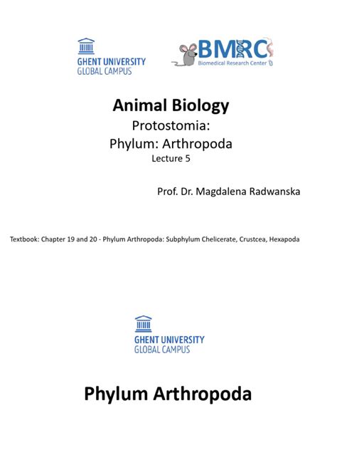 Lecture5 2024 Final Pdf