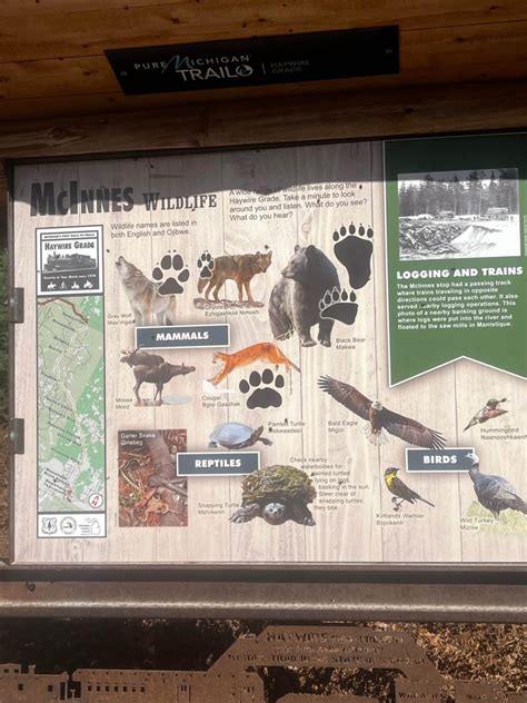 Fs 2148 Michigan Gps Trail Map Conditions And Difficulty Onx Offroad