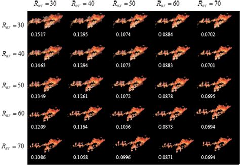 Figure 2 From Investigation Of Recognition And Classification Of Forest