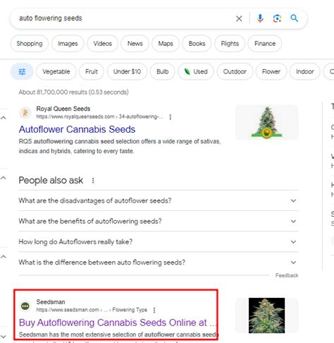7 Common Pitfalls To Avoid While Developing A Ecommerce Magento Website