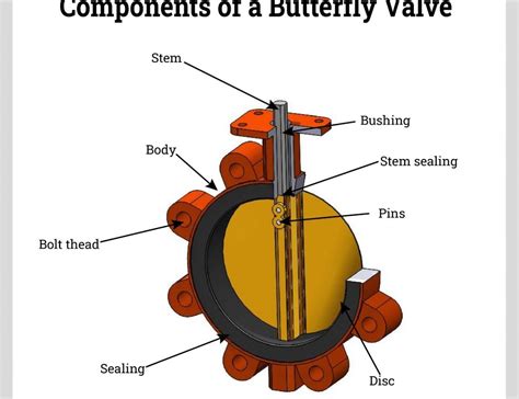 Introduction To Butterfly Valves Watersvalve