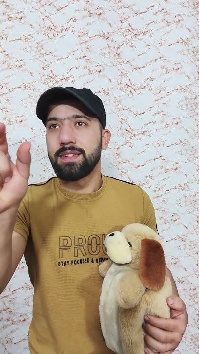 الكلب المخيف 😱 الكلب يعض صاحبو تطعيم الكلاب كلب شرس Youtube