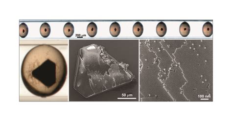Three Dimensional Nanocrystal Superlattices Grown In Nanoliter