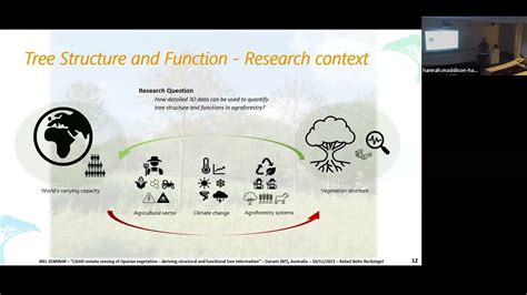 Lidar Remote Sensing Of Riparian Vegetation Deriving Structural And Functional Tree Information