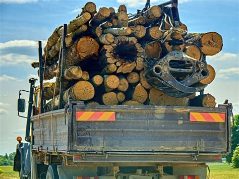 Truck Loaded With Tree Trunks The Truck Is Loaded With Cut Trees