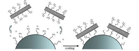 The Scheme Of The Q Mwcnts With Cationic Polyelectrolytes Coating On Download Scientific