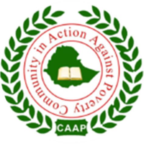 Gender Integration And Mens Involvement Caap